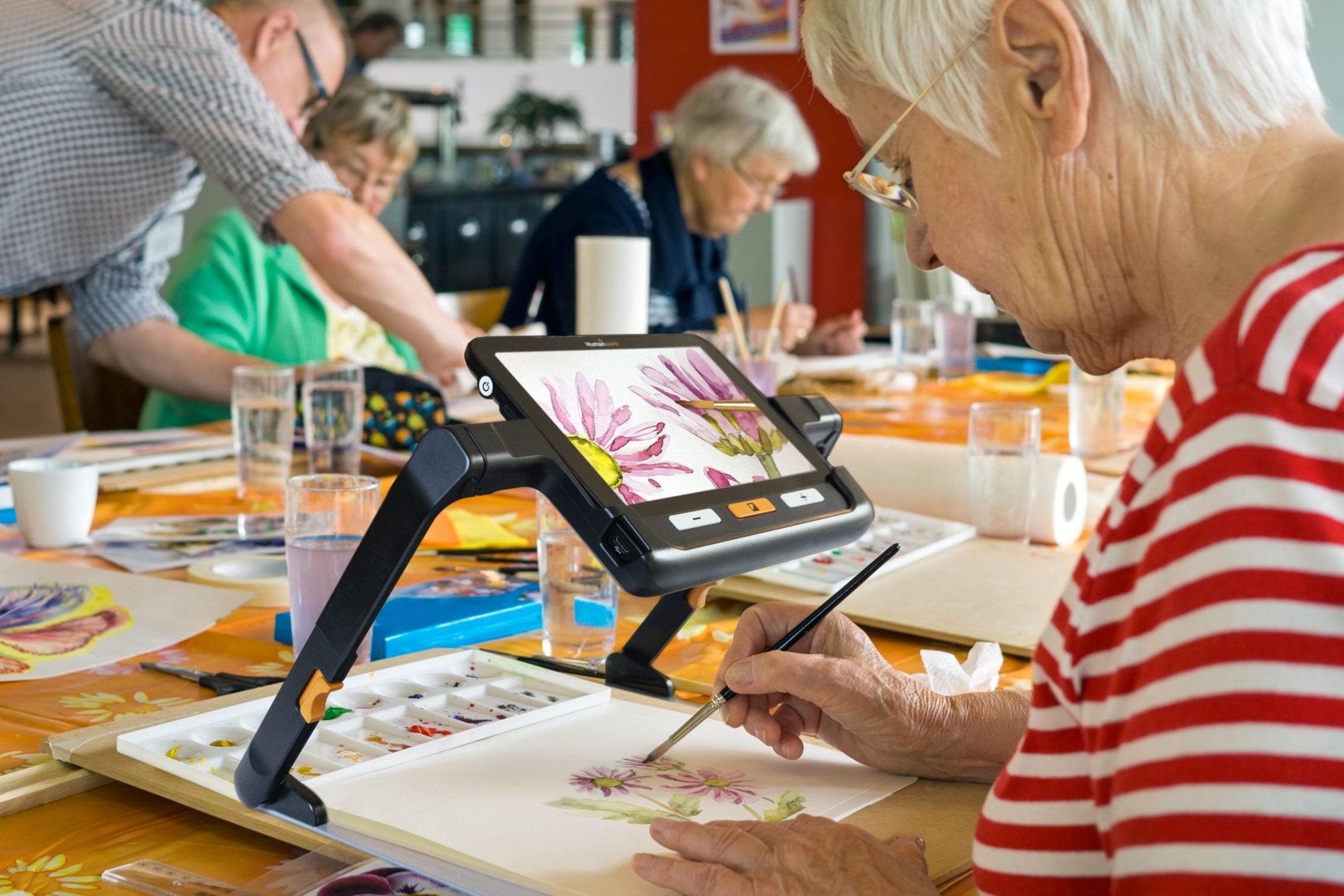 The Low Vision Store-Visually Impaired