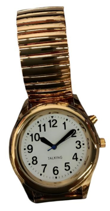 Victor Reader Stream 3 – Handheld media player - The Low Vision Store